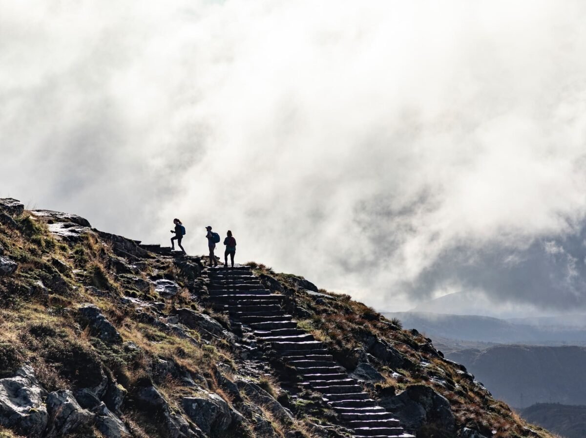 Brene Brown’s Daring Leadership Assessment - A Complete Guide ...